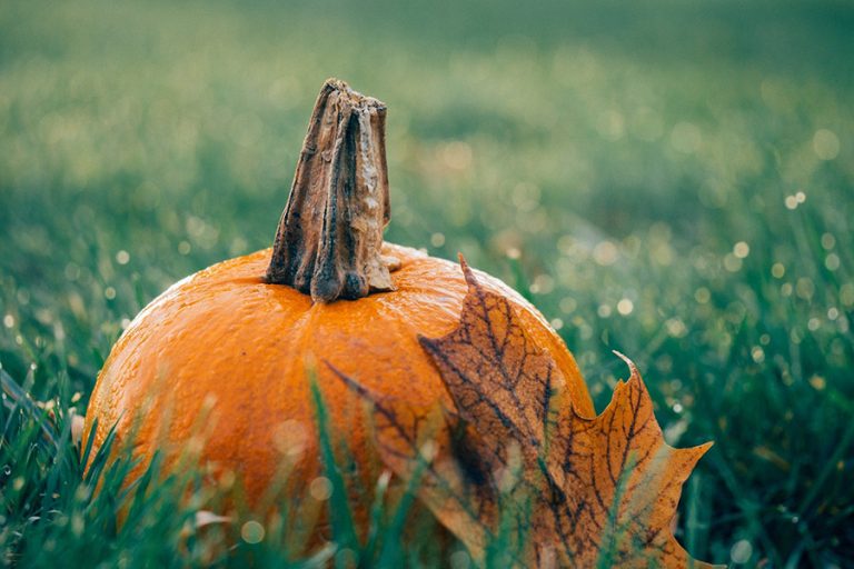 10 Great Things to do in Vancouver in October 2025 - Uncovering British ...