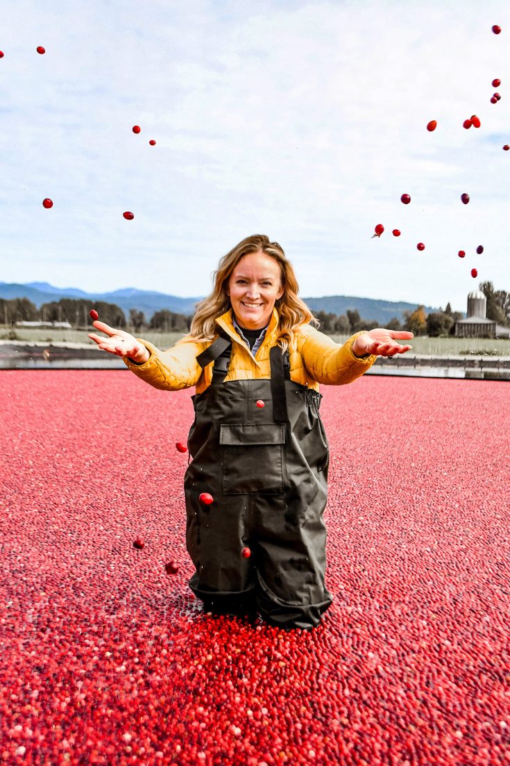 These Cranberry Bog Tours Need to be on your Fall Metro Vancouver ...