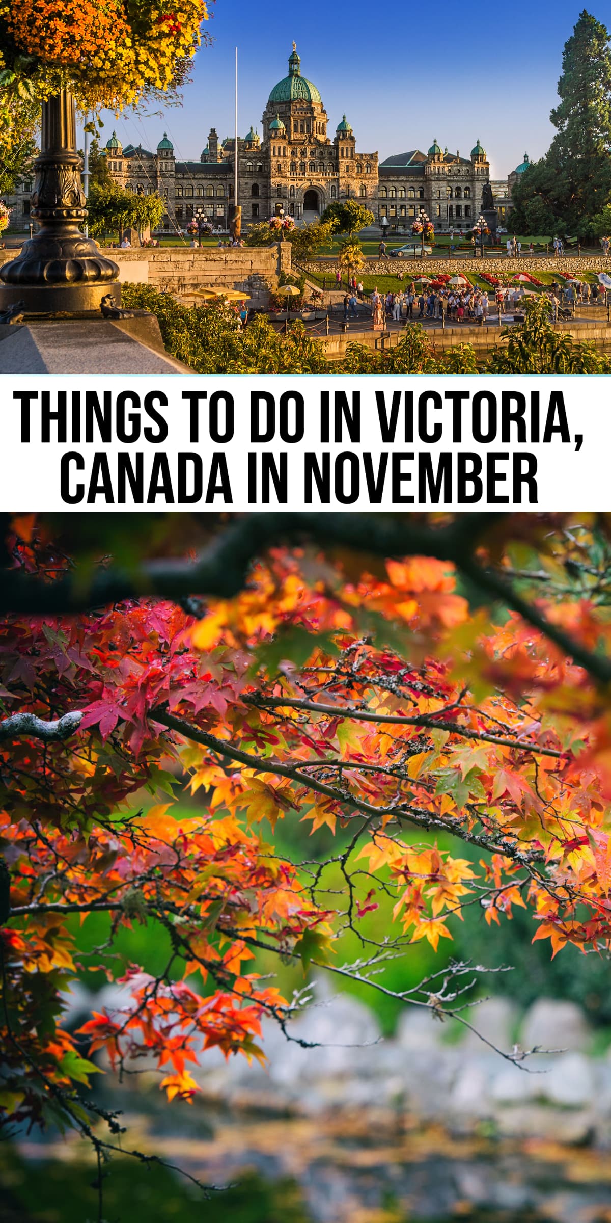 Fall for Victoria in November with these Special Events and Activities ...
