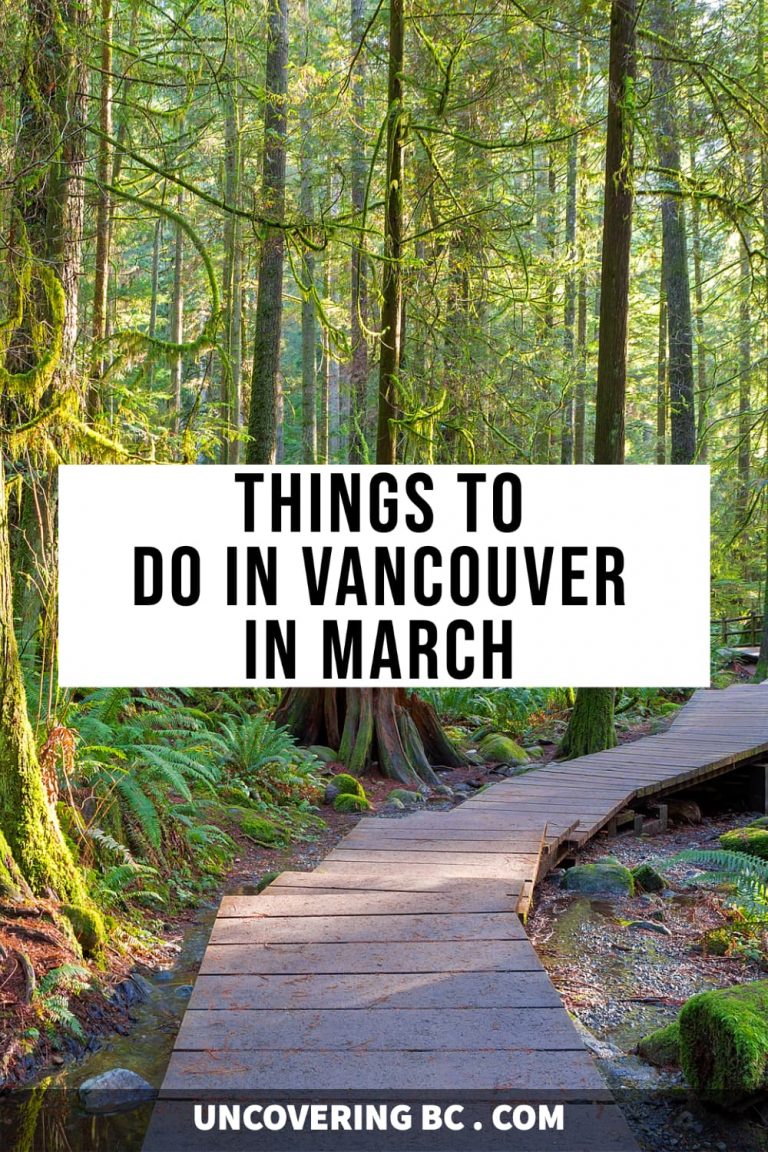 15 Great Things to do in Vancouver in March 2024 - Uncovering British ...